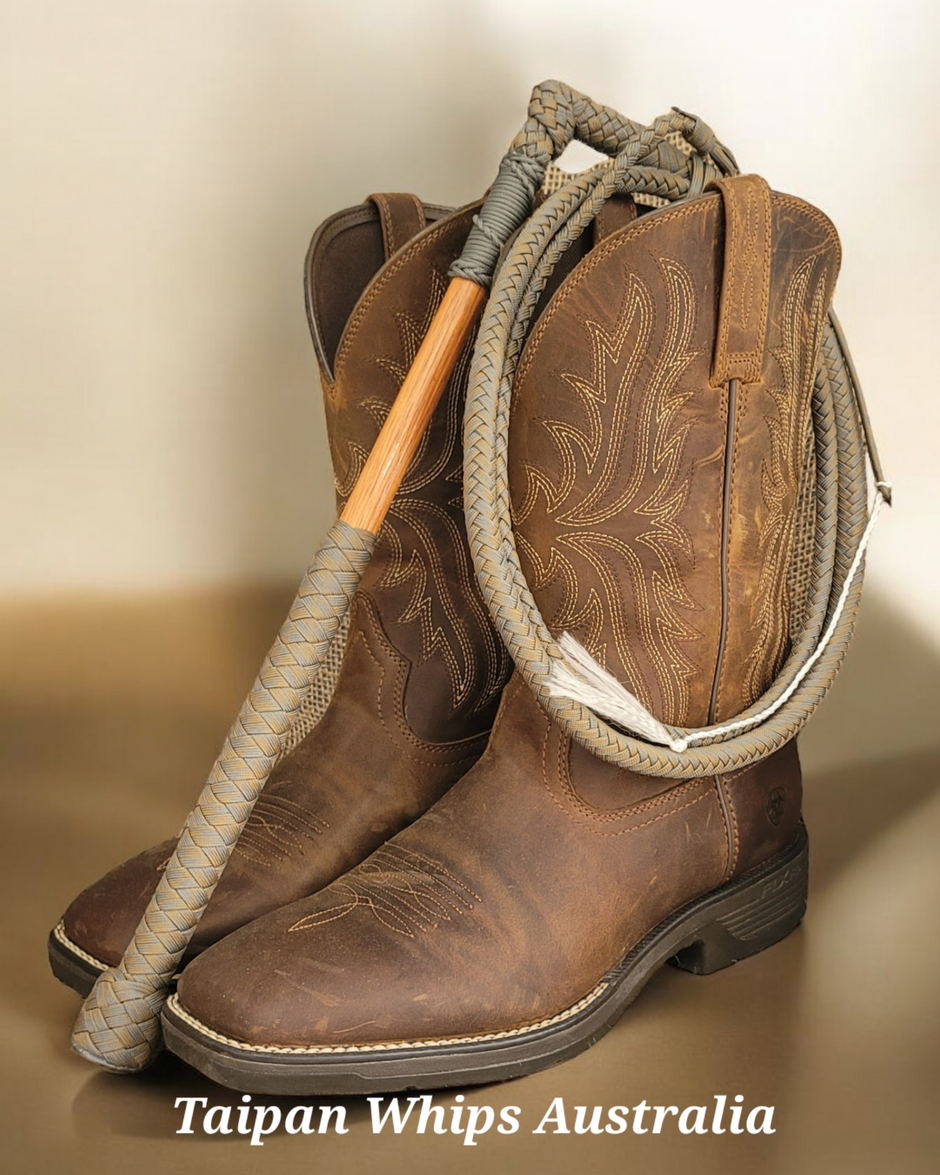 Taipan Whips Australia